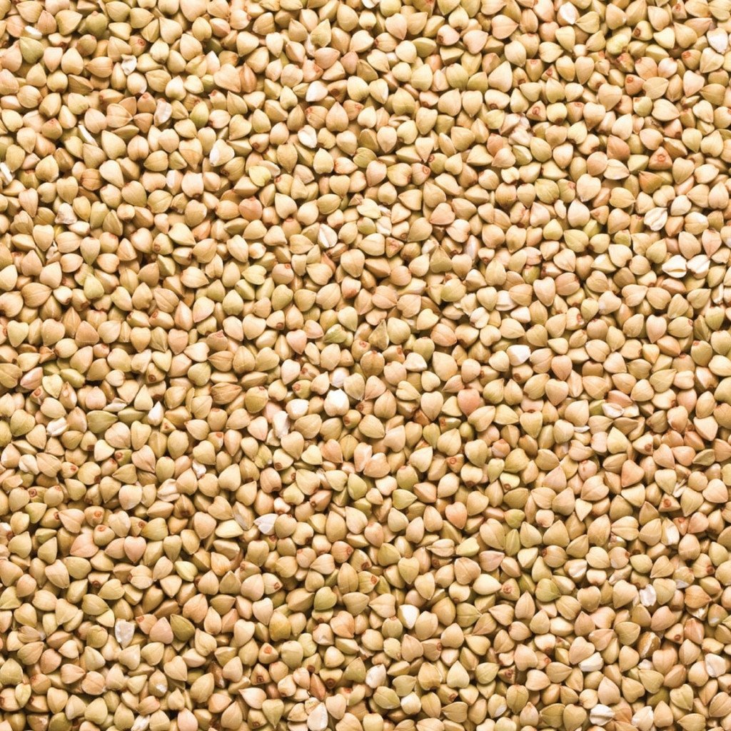 Buckwheat - Activated & Spray-Free – Mindful Foods